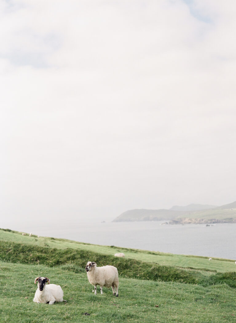 This Irish Wedding Feels Like a Scene from a Romance Novel