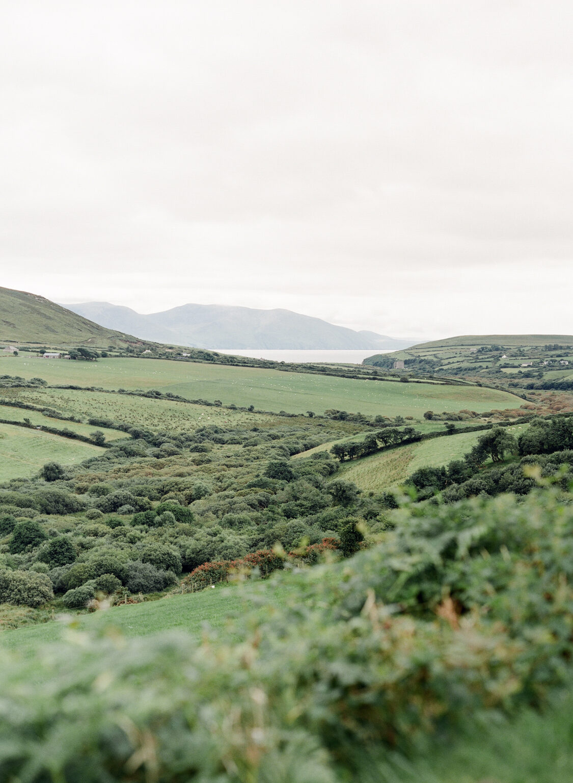 This Irish Wedding Feels Like a Scene from a Romance Novel