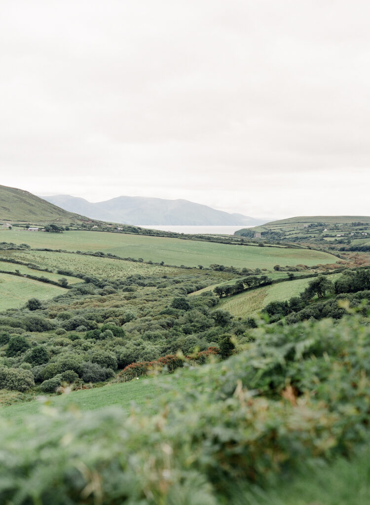 This Irish Wedding Feels Like a Scene from a Romance Novel