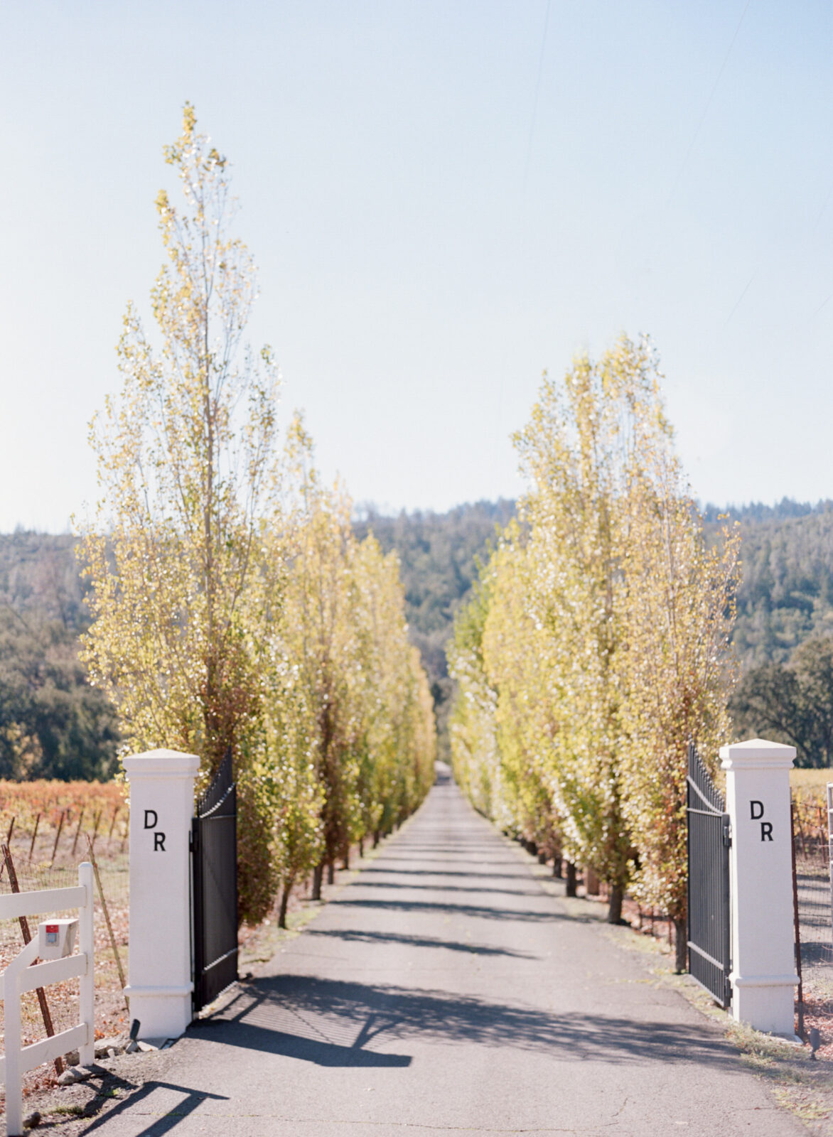 This California Wine Country Wedding Is Quiet Luxury Personified